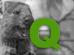 Animaux en Q : Liste avec photos - AnimauxFAQ